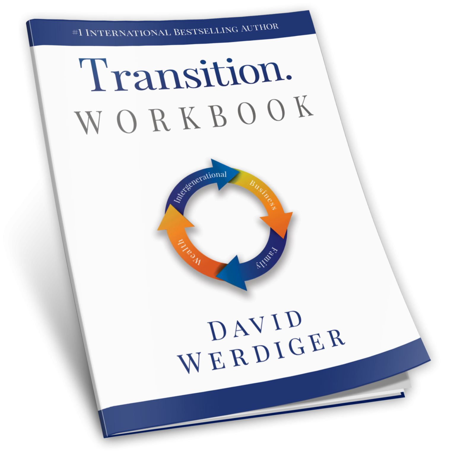 Transition Workbook - David Werdiger